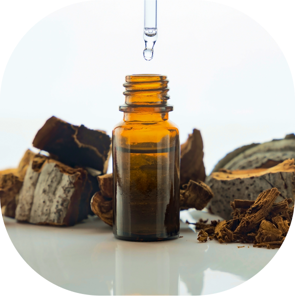 The mushroom extraction process | cure mushrooms