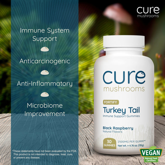 Turkey tail mushroom gummies | immune support | cure mushrooms